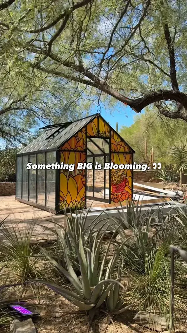 Super Bloom Art Exhibit at Desert Botanical Garden in Phoenix