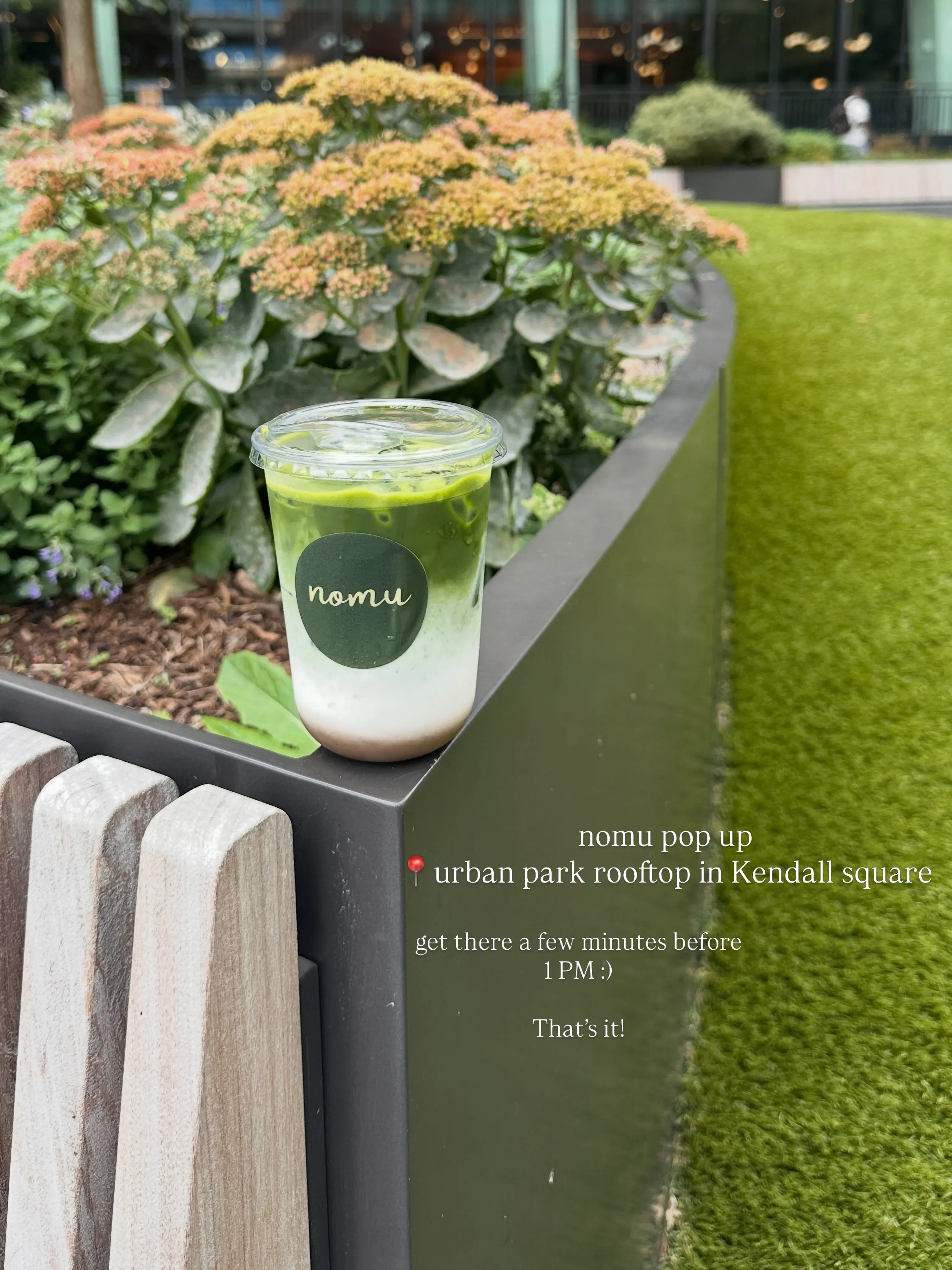 Nomu Matcha Pop-up at Urban Park Rooftop in Boston | Mato
